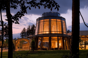 Timber Tonic: How Wood and Natural Materials Can Transform Healthcare ...