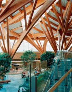 Timber Tonic: How Wood and Natural Materials Can Transform Healthcare ...