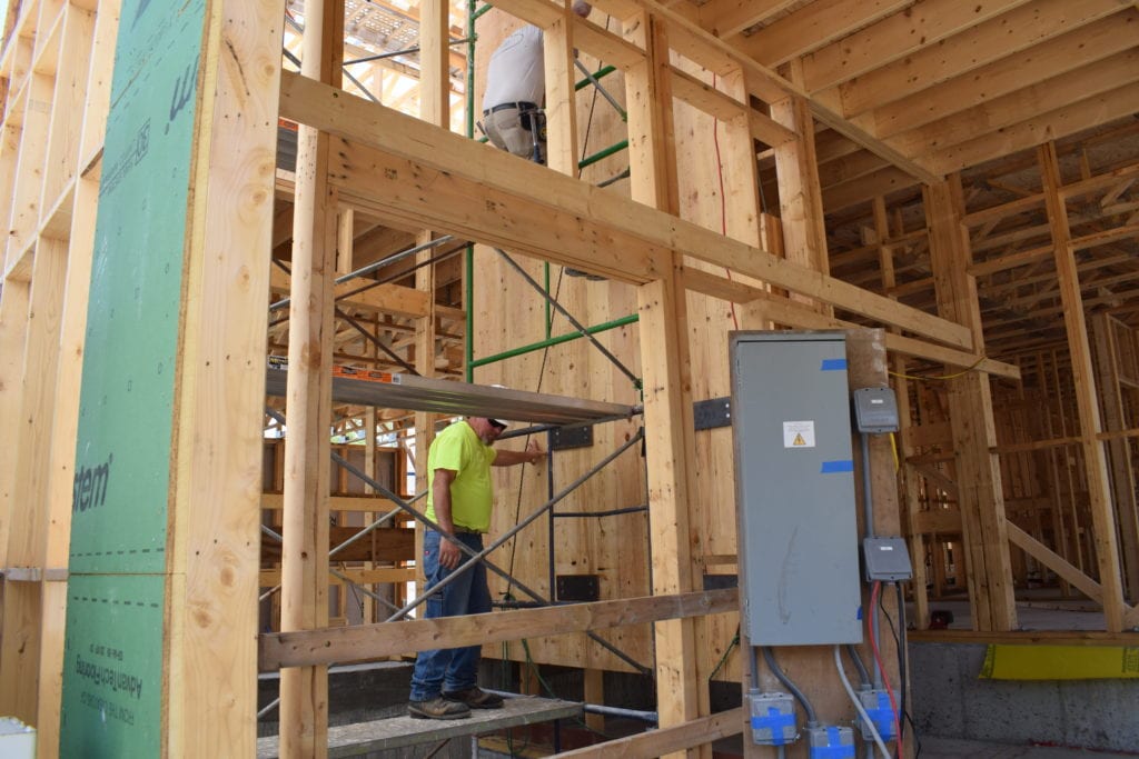 Wessex Woods - Think Wood