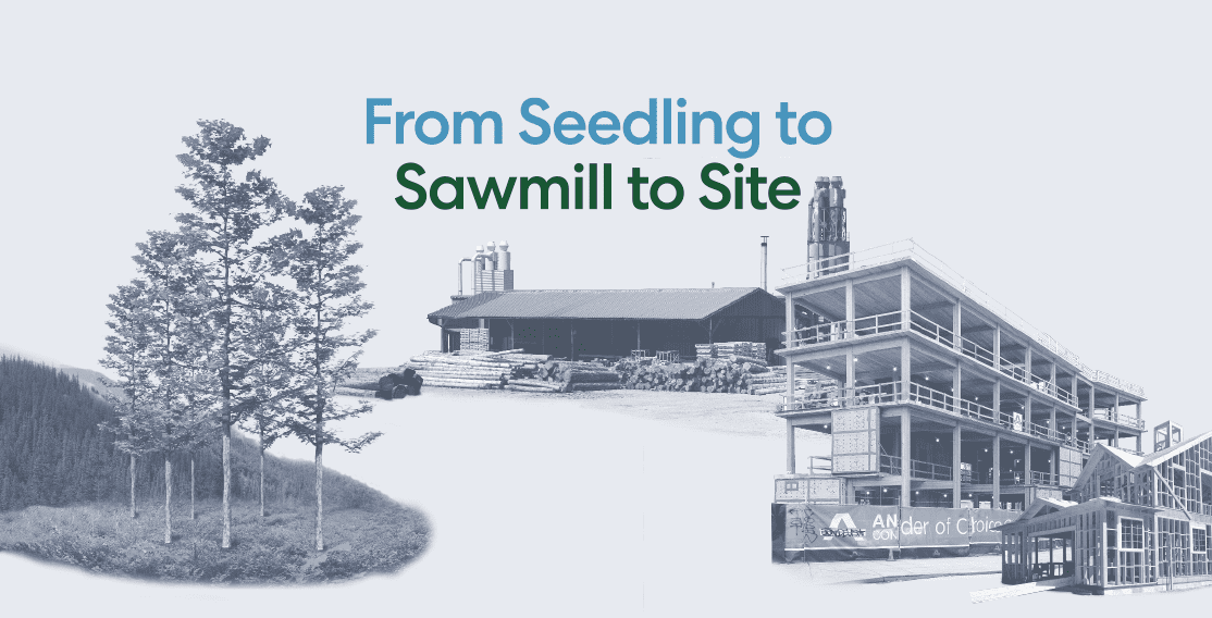 Sustainable Forestry - Facts & Resources - Think Wood