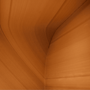 Building with Wood - Think Wood