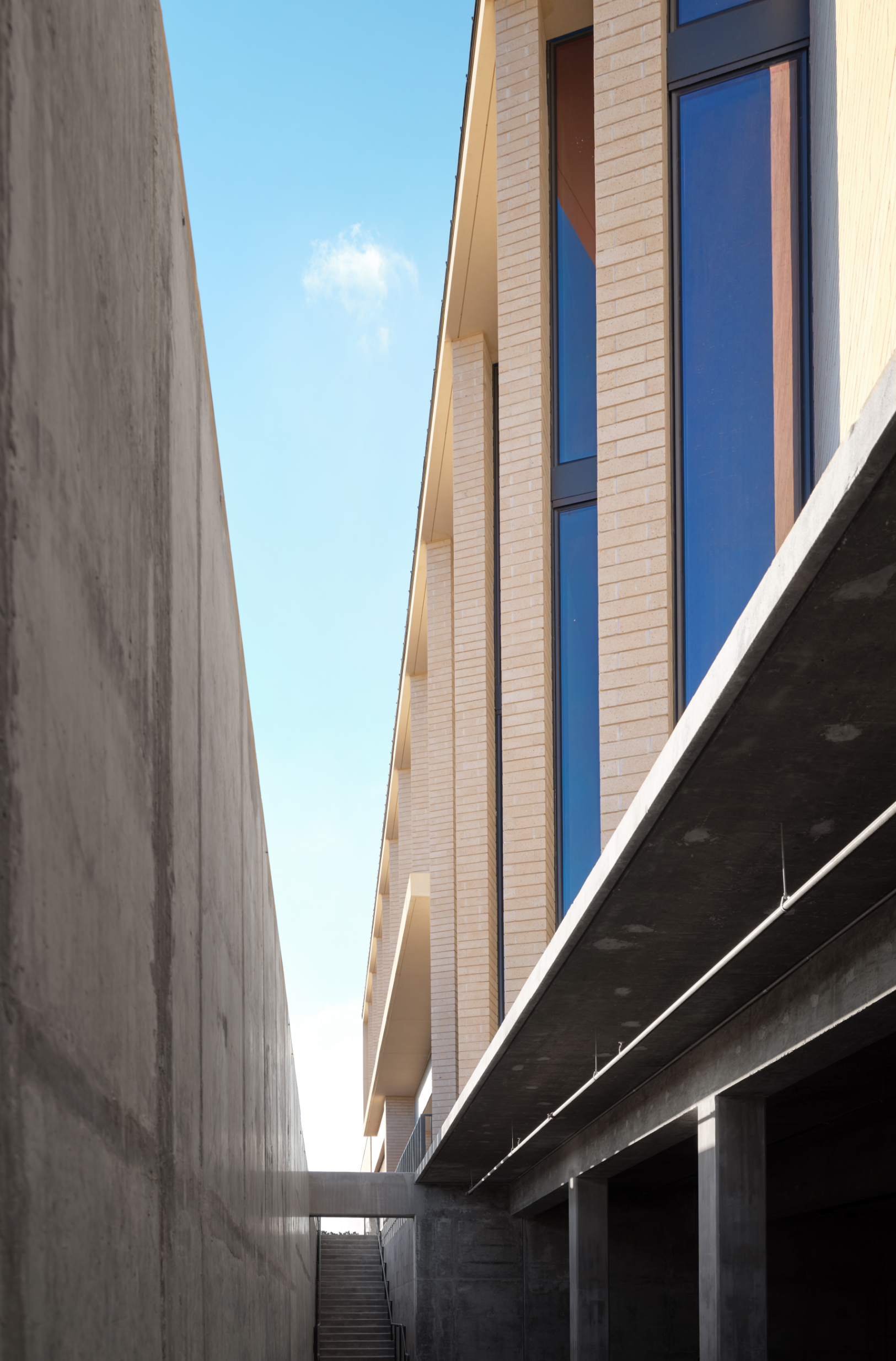 Game Changer: San Antonio Spurs’ Mass Timber Practice Facility the ...