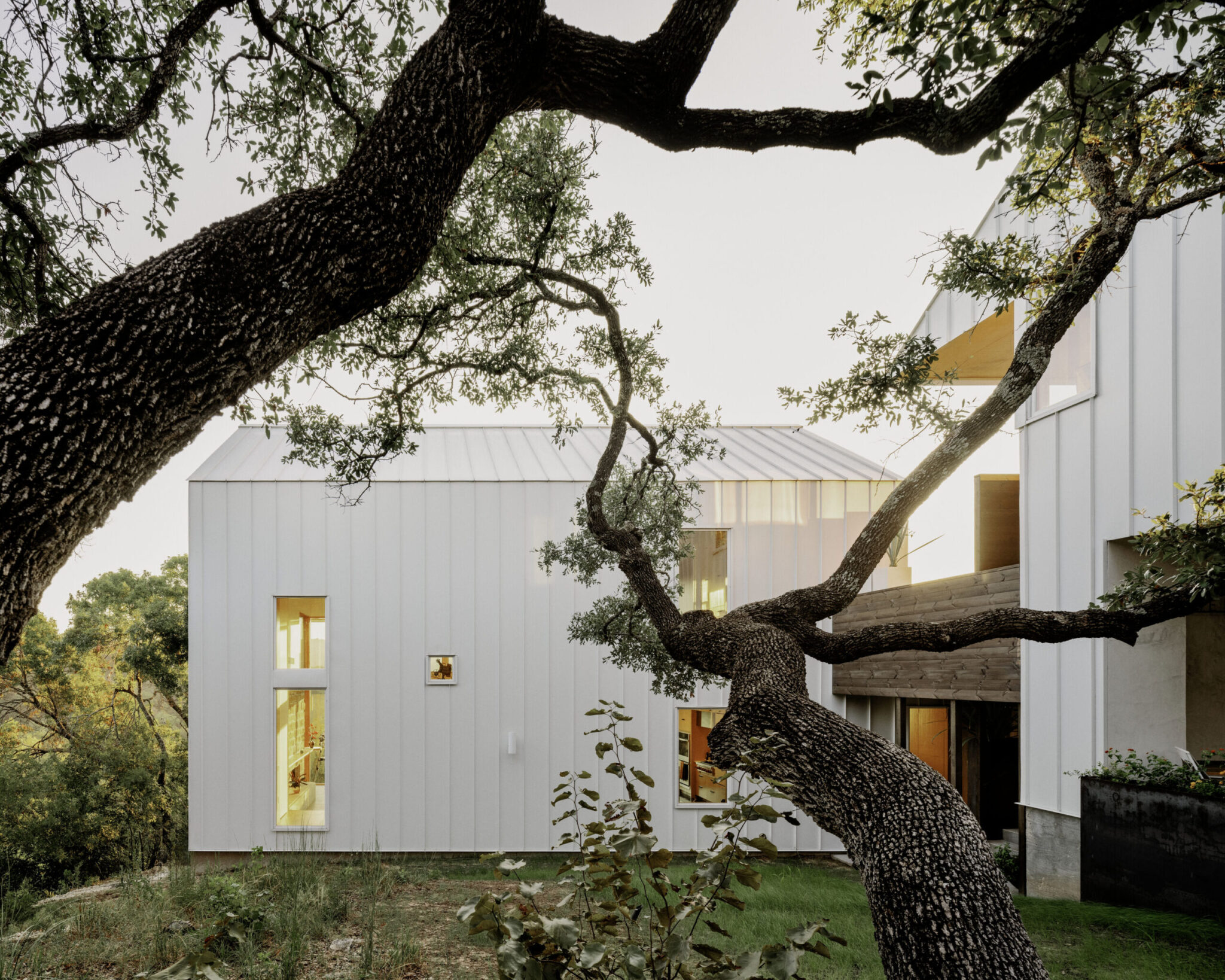 Elegant Wood-Clad Exterior Staircase Unites Texas Tree House - Think Wood